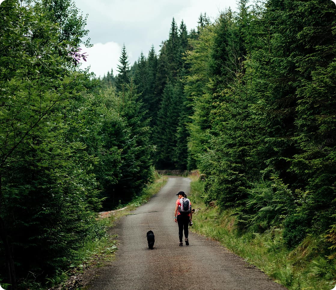 Help Desk Migration Solutions - Automated Data Import and Migration Tool